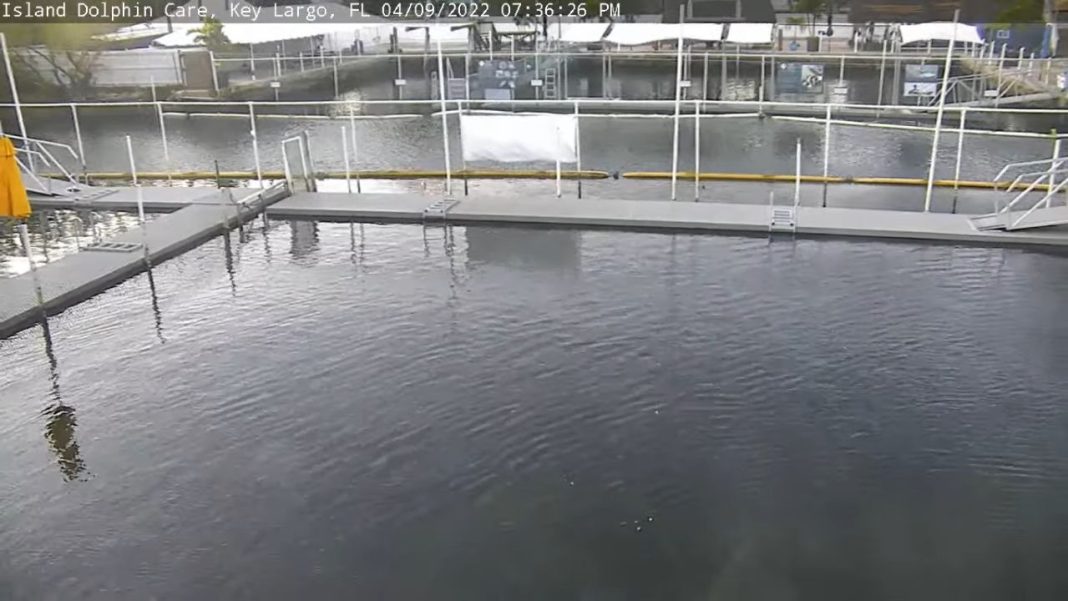 Key Largo Live Webcams - Monroe County, Florida Keys - FL, USA