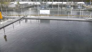 Key Largo Live Webcams - Monroe County, Florida Keys - FL, USA